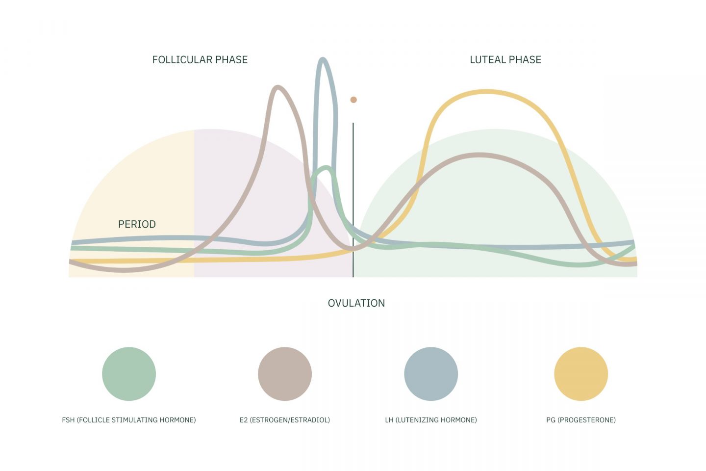 Your Hormones and Hormonal Birth Control: What You Should Know | adyn