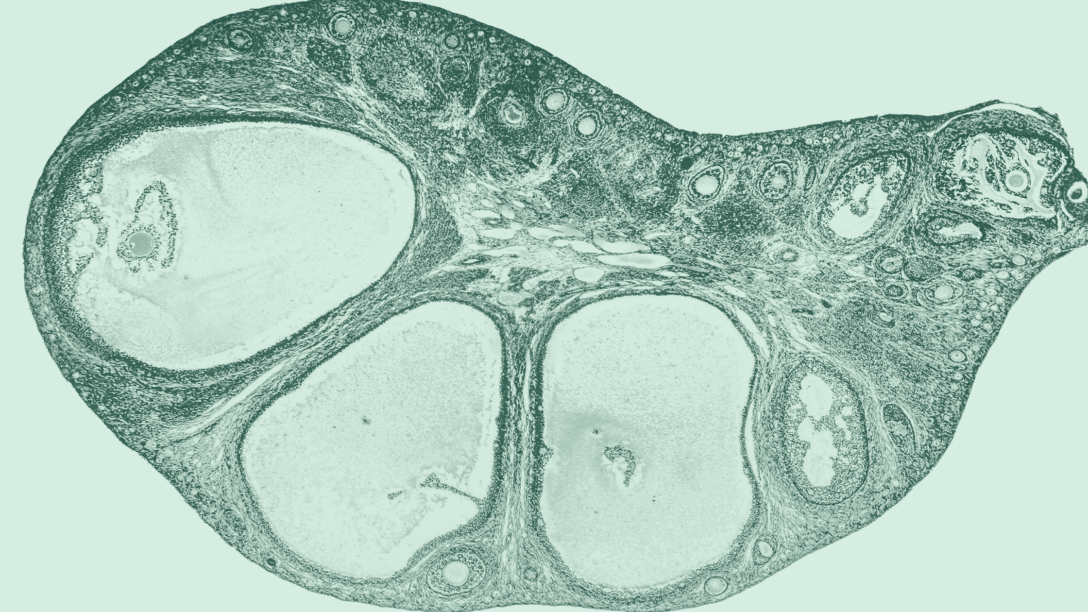 The 11 Biggest STD Myths, Debunked | adyn