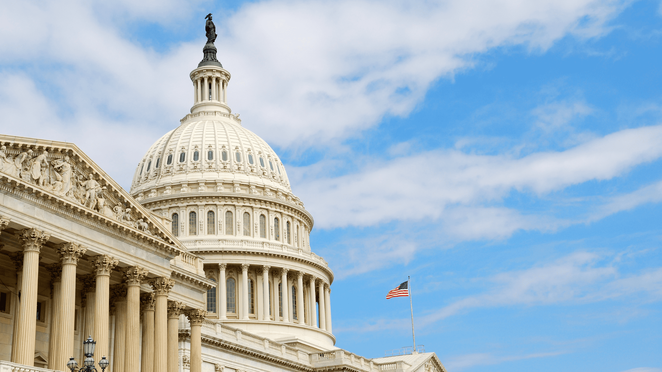 So you think you have a right to contraception? | adyn